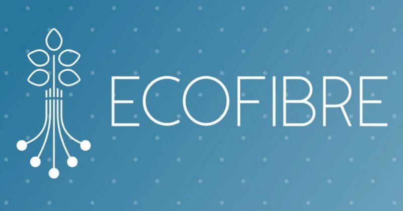 Ecofibre Share Price Cops A Caning - Hemp Gazette