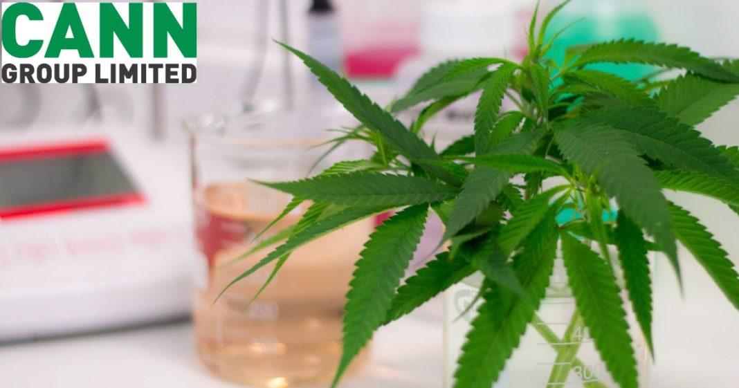 Cann Group Collaborates On S3 CBD Medicine Development