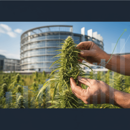European Parliament Committee Backs Farm Supports for Hemp Flowers ...